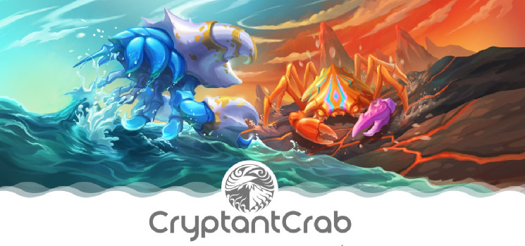 Easy Guide - What is CryptantCrab NFT?
