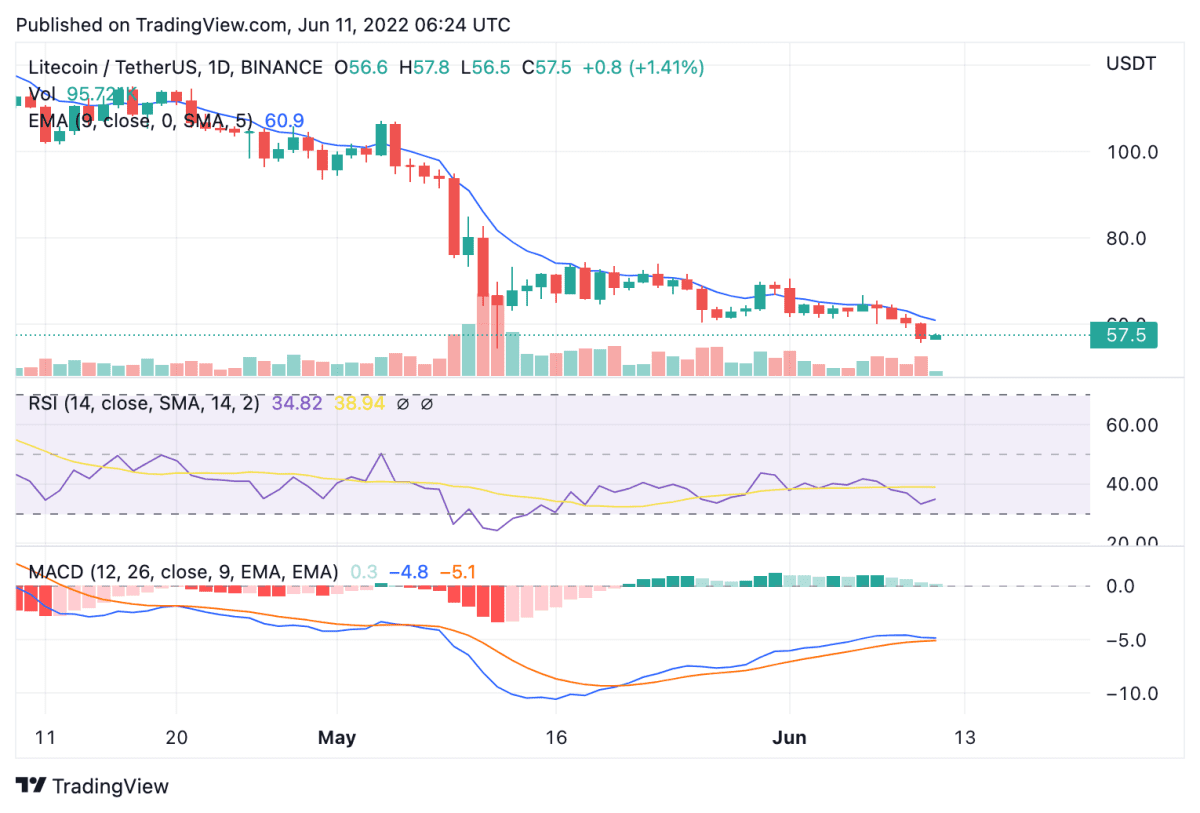 Litecoin price analysis: LTC drops below $60 support as bears dominate ...