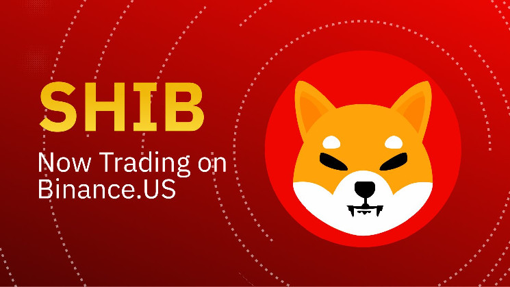 Binance.US запустила торговлю криптовалютой Shiba Inu (SHIB)