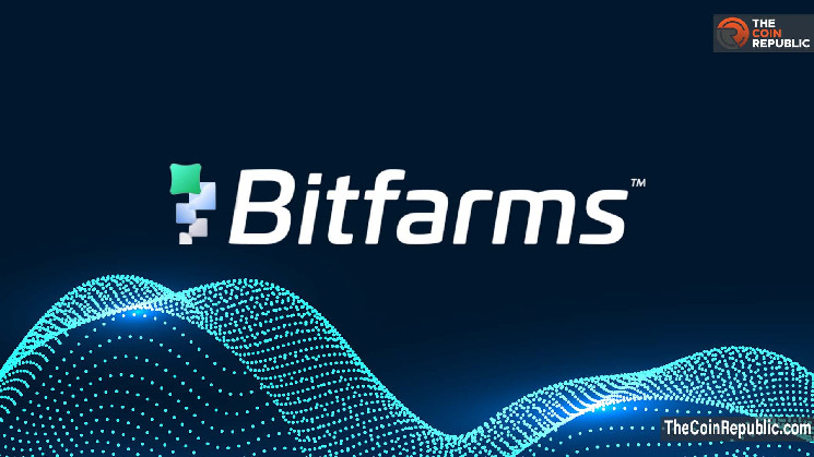 How is Bitfarms holding up amidst the market crash?