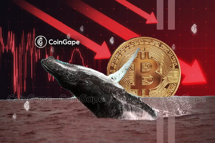 Bitcoin Selling Pressure Also Fueled By 9,301 BTC From 2 Whales