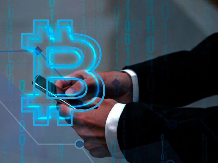 Small Bitcoin Investors Actively Accumulate Cryptocurrency