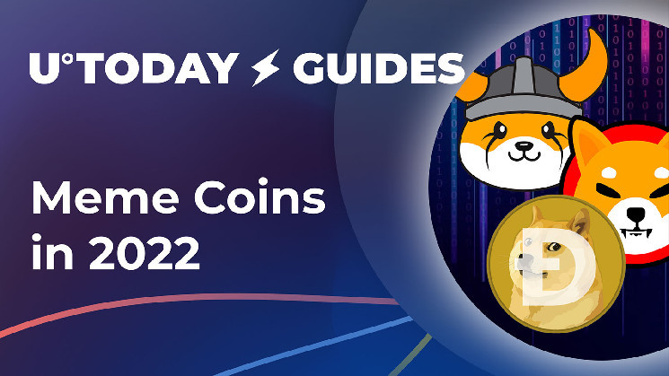 Dogecoin (DOGE), Shiba Inu Coin (SHIB), Who Else? Comprehensive Guide ...