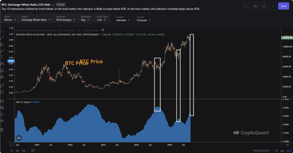 Bitcoin Displays Signs of Bottoming Before Its Next Bull Move