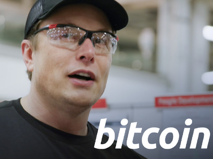 Is Elon Musk Shilling Bitcoin Again? See New Meme He's Just Published