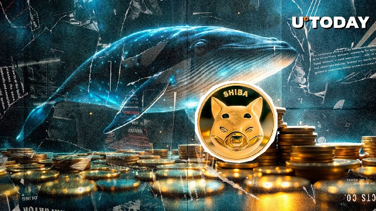 Shiba Inu Whale Inflows Explode 6,306% to Six-Month High, What's Happening?