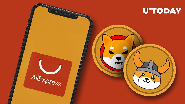 Shiba Inu Rival FLOKI Now Usable on AliExpress