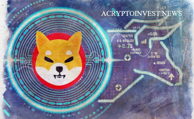 Предпродажа Sensei Inu вызвала ажиотаж