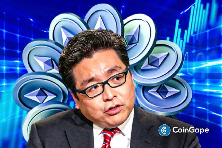 Tom Lee’s BitMine Boosts Ethereum Treasury with $668M ETH Purchase