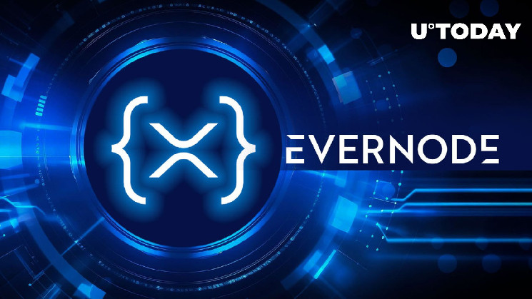 XRPL's Evernode Releases Shocking EVERS Airdrop Statistics