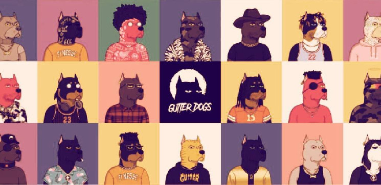 Gutter Cat Gang Shows How NFT Collections Try to Stay Relevant