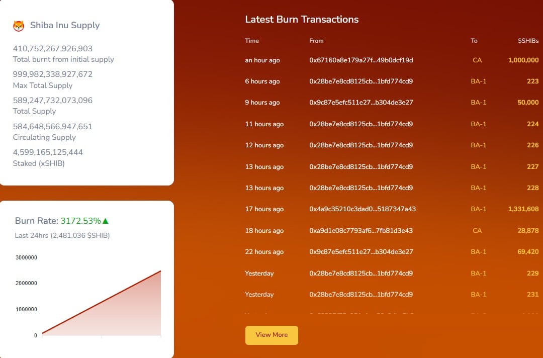 SHIB Meme Coin On Fire with + 3,172% Growth: Details