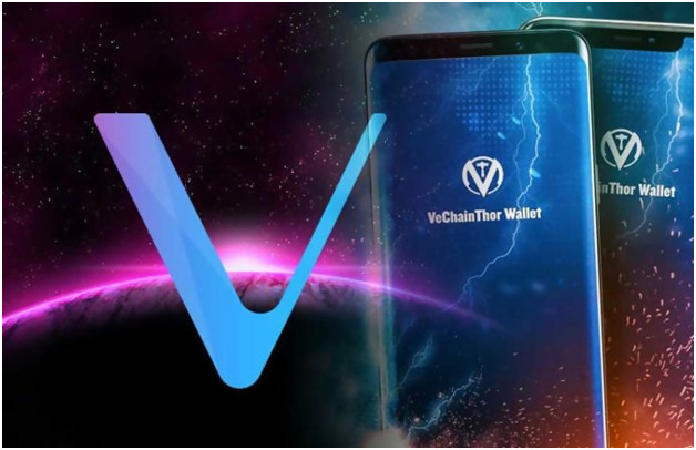 Best VeChain Wallets to Securely Keep VET Coins