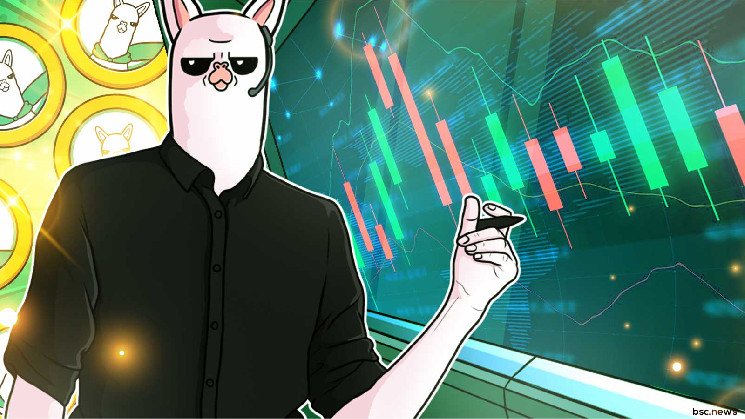 Alpaca Brings New UI Improvements Amid Expansion