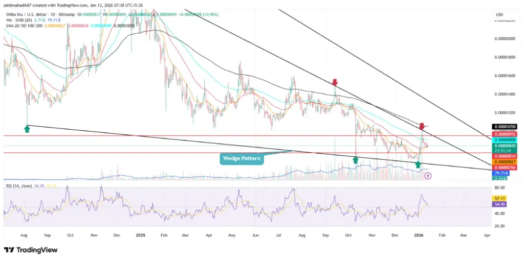 Shiba Inu Faces Volatility Threat as Top Wallets Tighten Their Grip